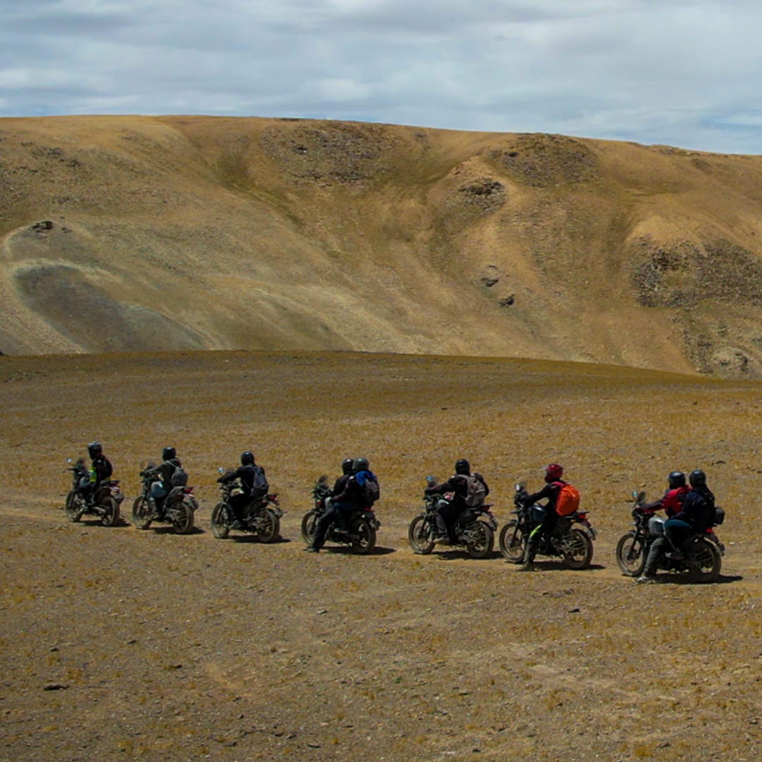 About Dream Riders Group